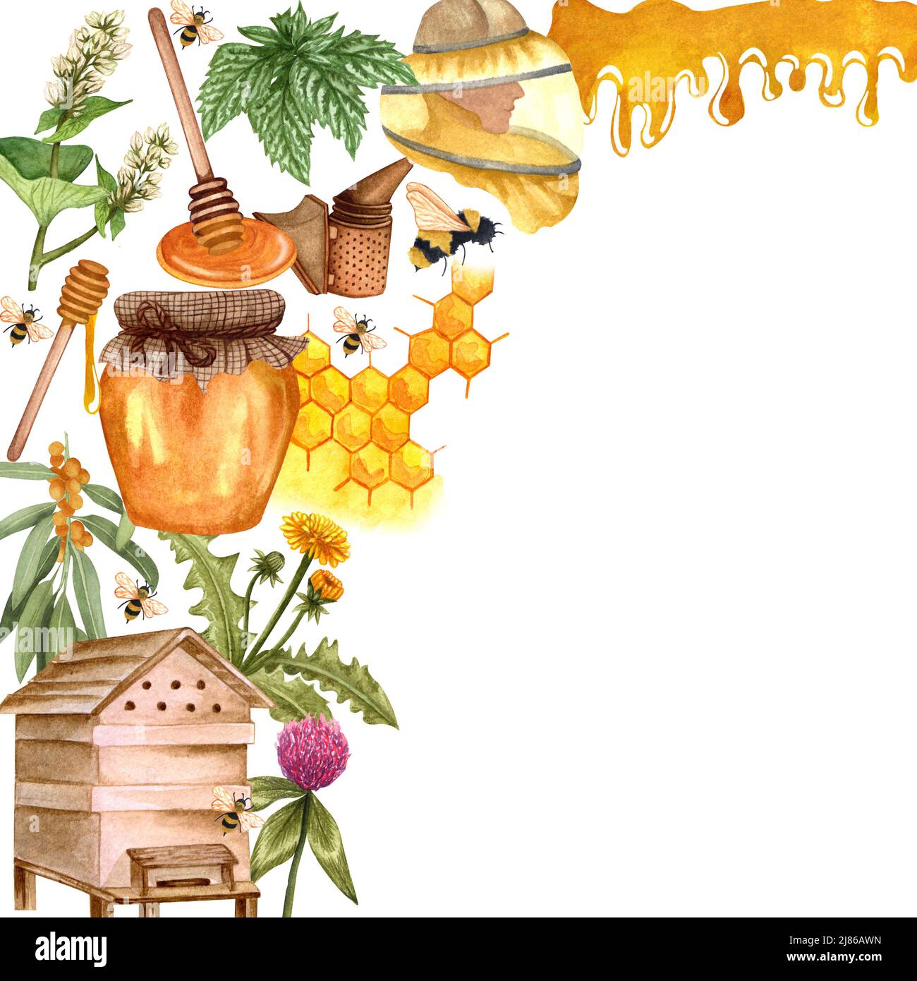 Watercolor honey colorful frame with honeycombs, plants, dipping, bees ...