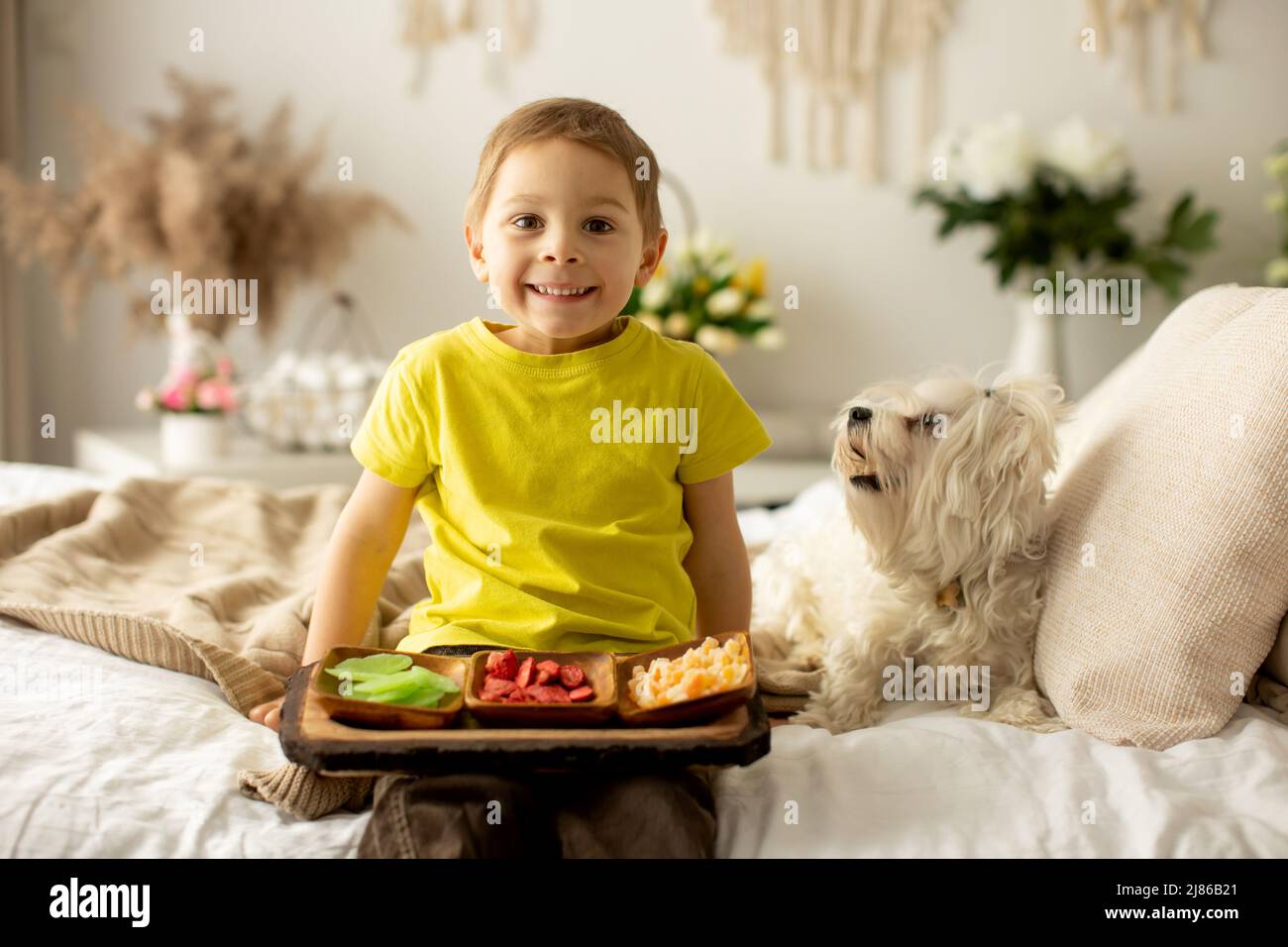 Cute little preschool child, boy, eating dried fruits at home ...