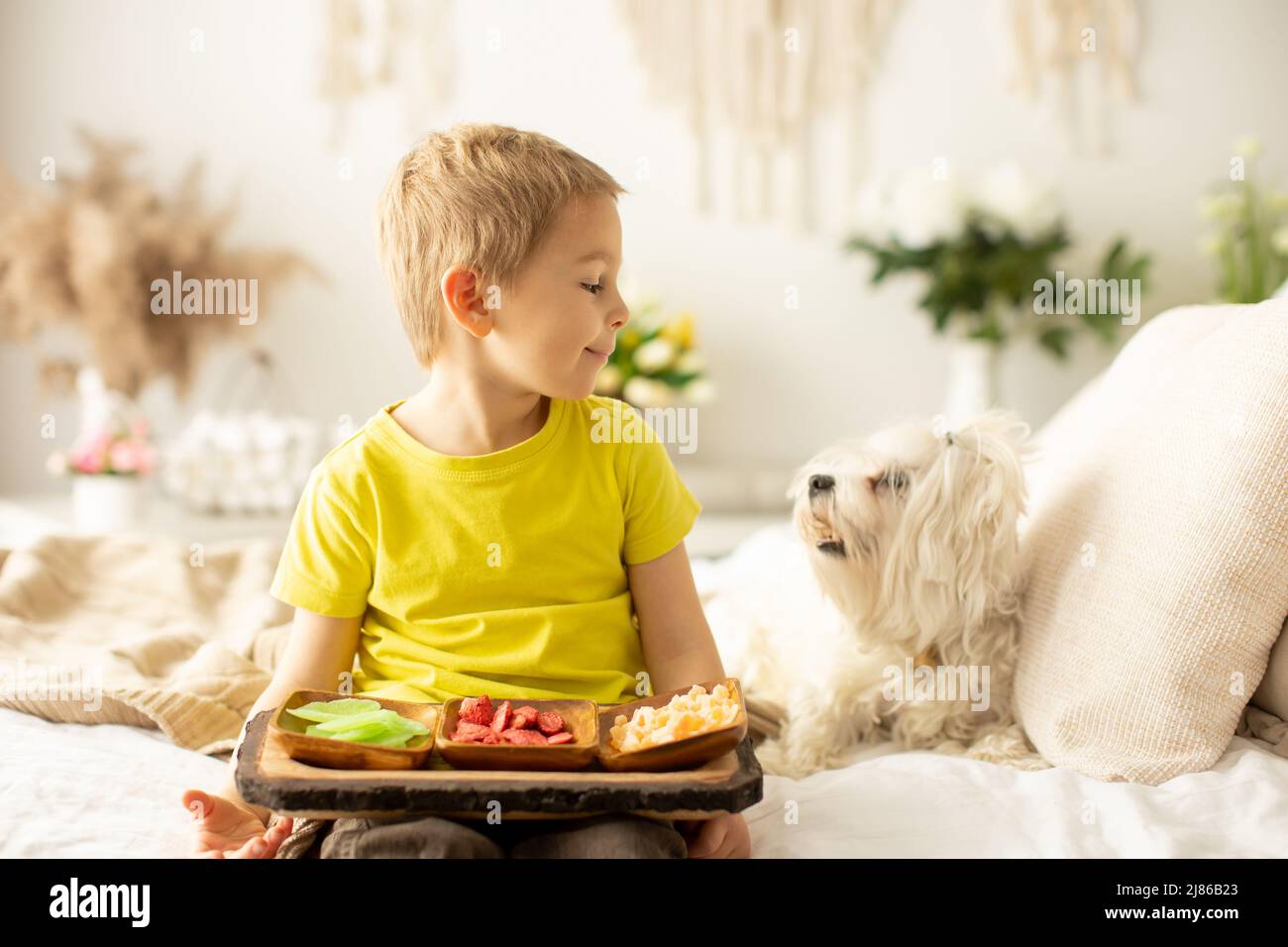 Cute little preschool child, boy, eating dried fruits at home ...