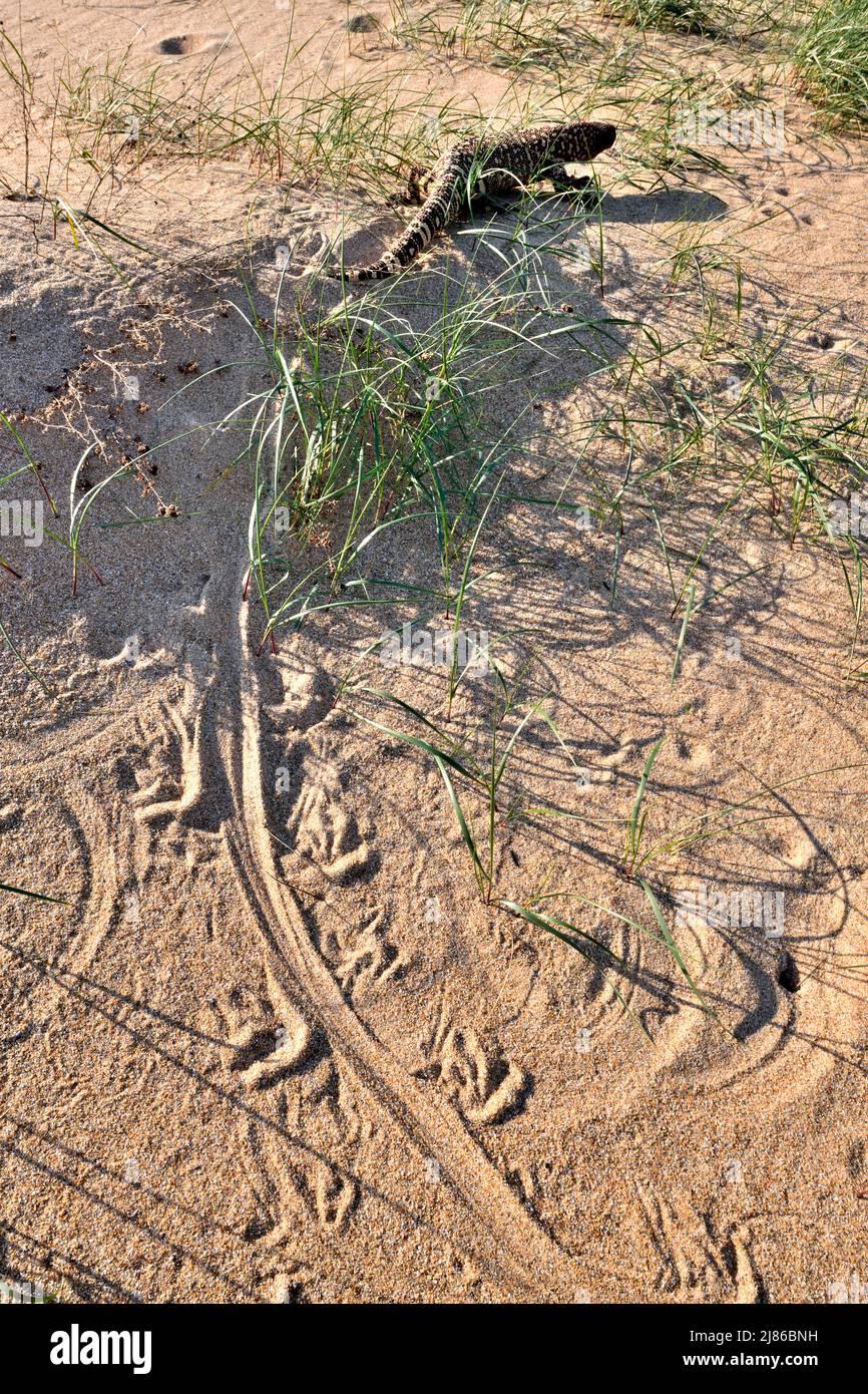 Rio fuerte hi-res stock photography and images - Alamy