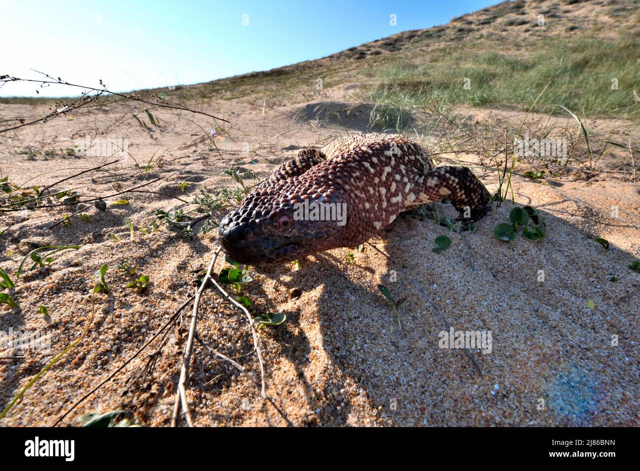 Rio fuerte hi-res stock photography and images - Alamy