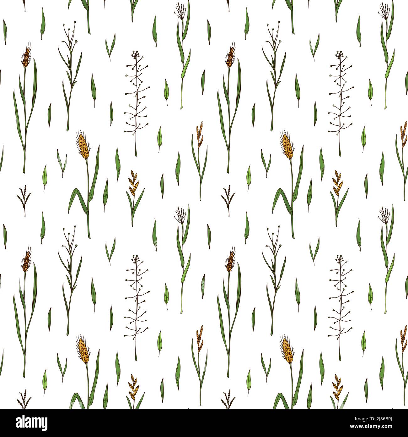 Herbal summer seamless pattern. Colorful hand drawn vector illustration ...
