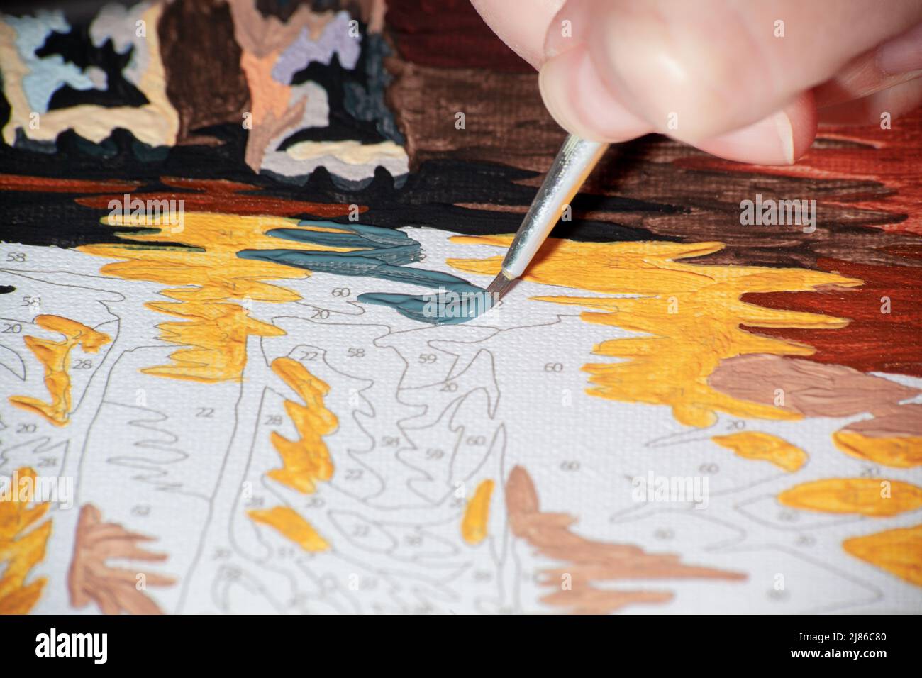 Paint by numbers close up. Female hand with brush drawing. Active ...