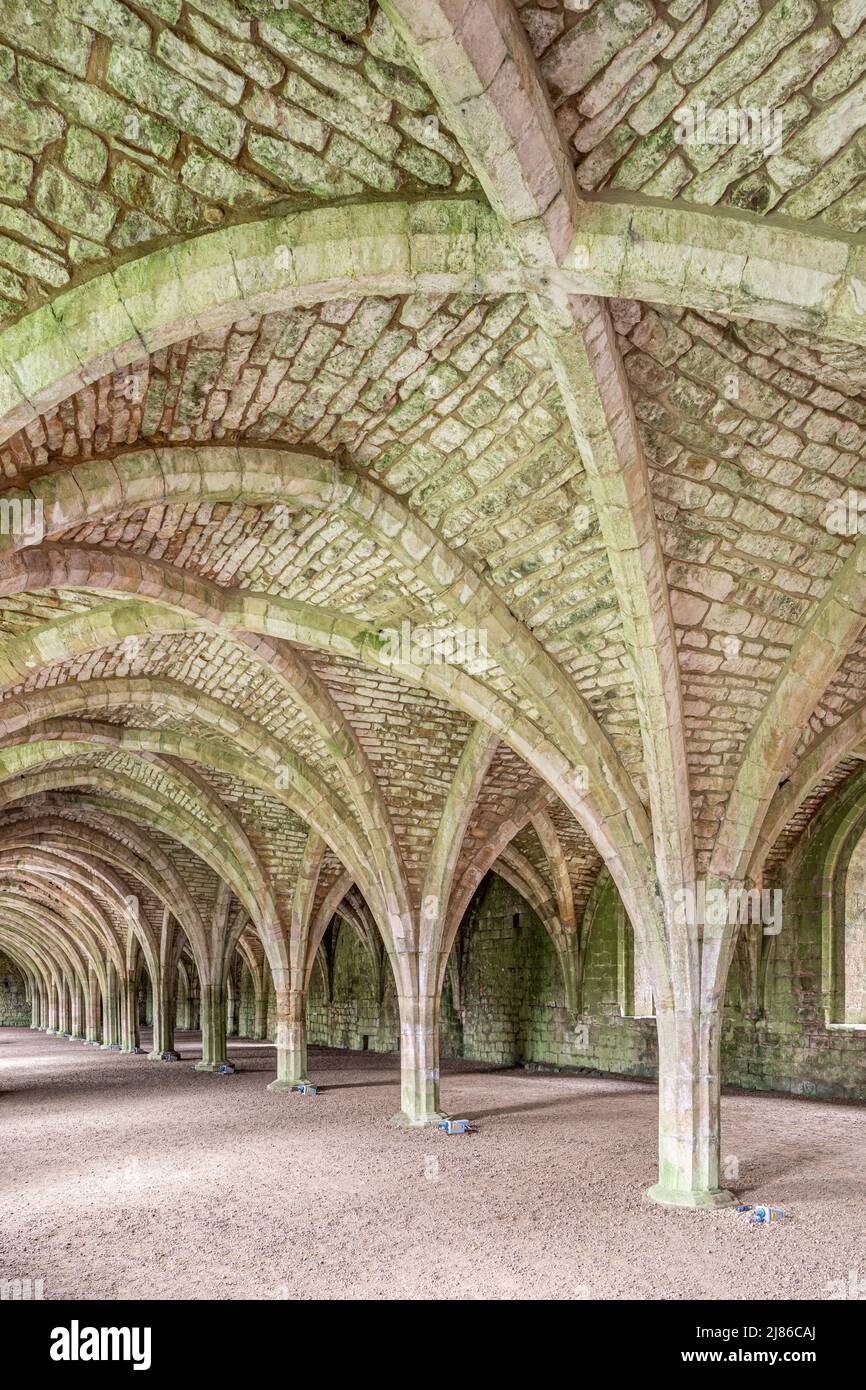 The vaulted cellarium in the 12th century Fountains Abbey near Ripon ...