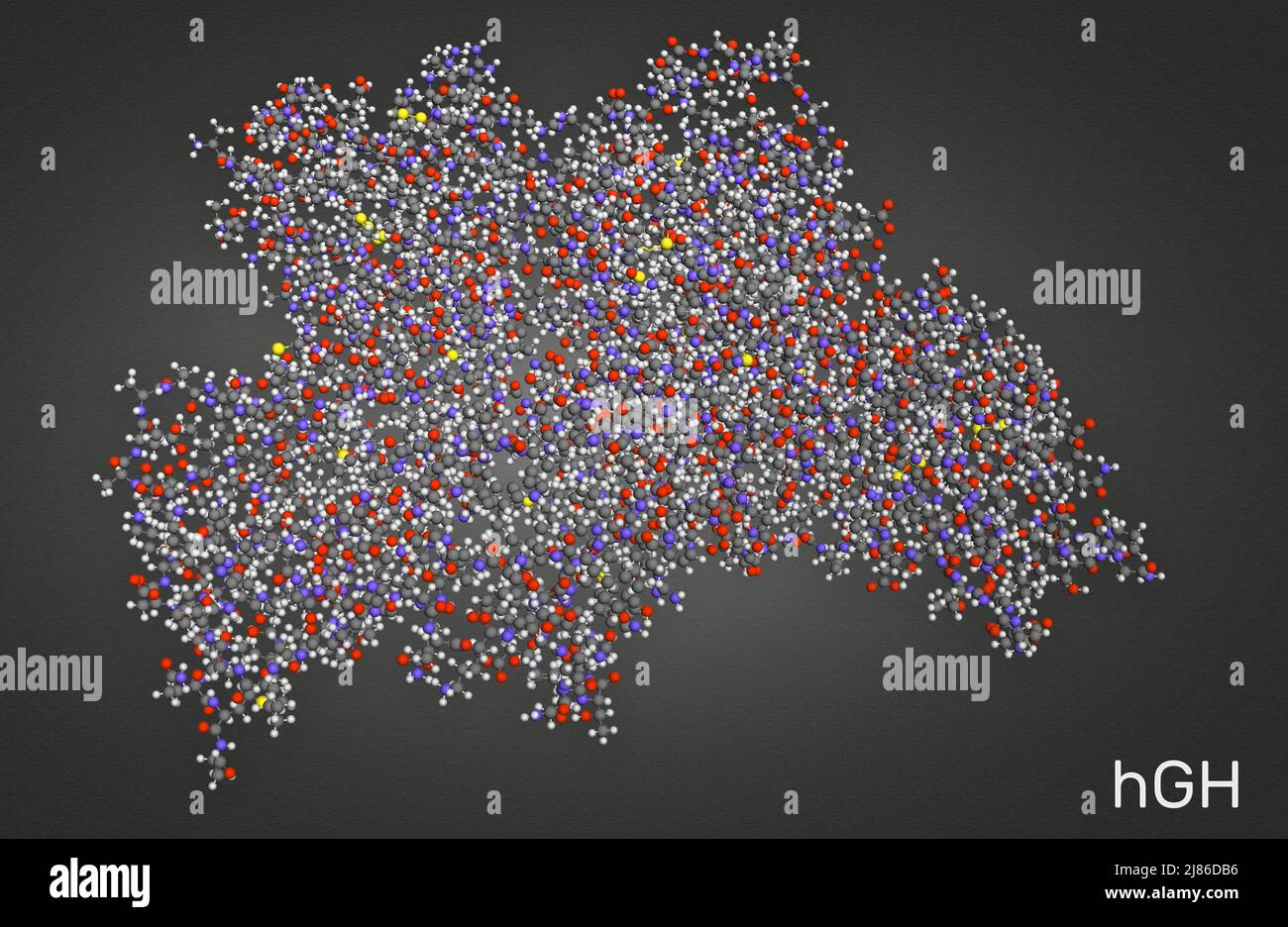 Human growth hormone, hGH, somatotropin molecule. It is natural peptide ...