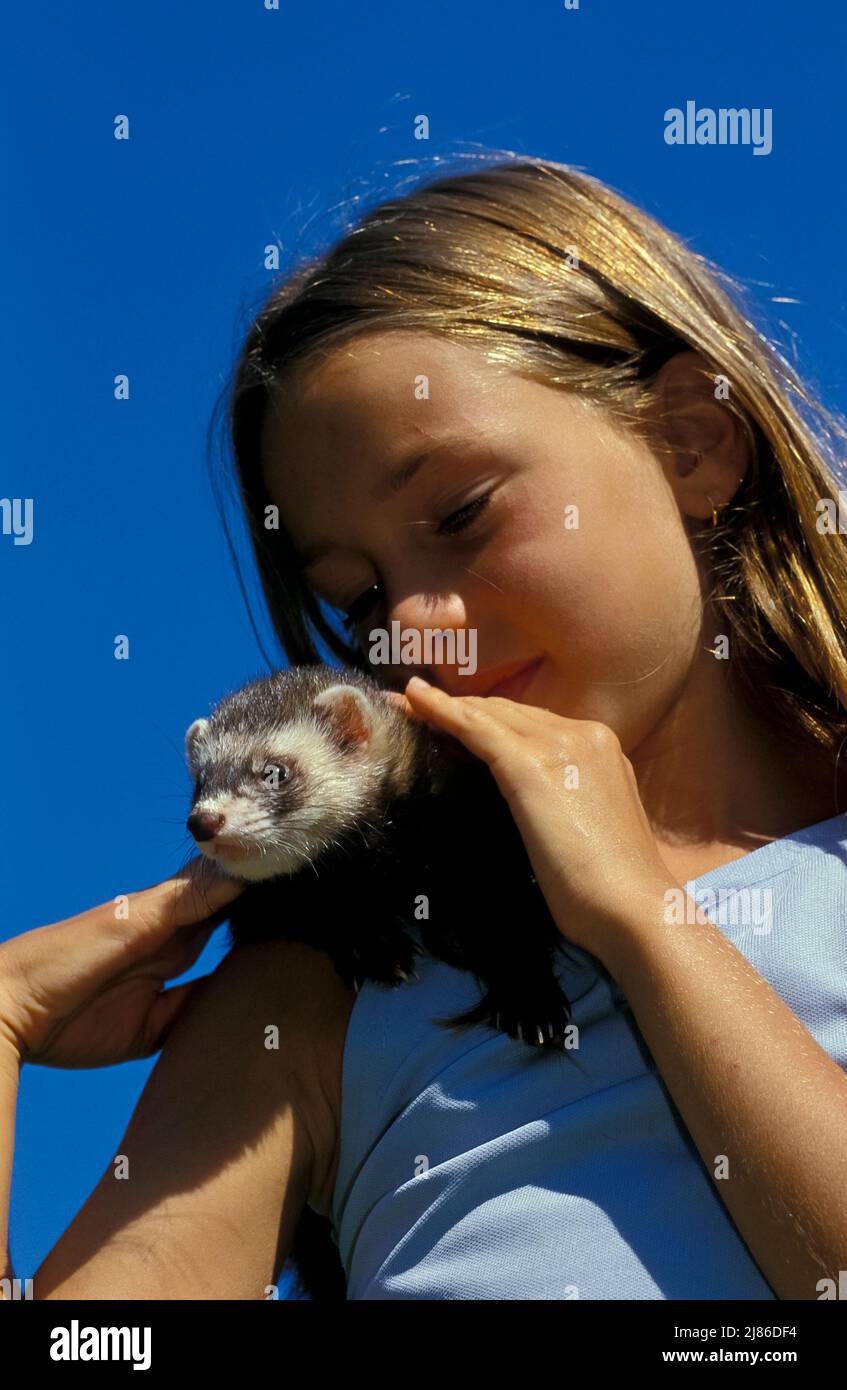 Girl carrying a ferret in her arms, France Stock Photo - Alamy
