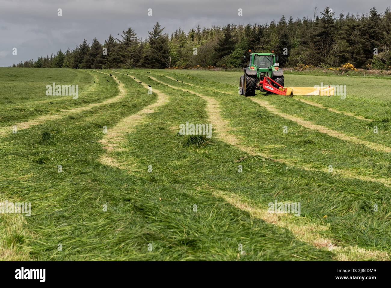 Conor moloney hi-res stock photography and images - Alamy