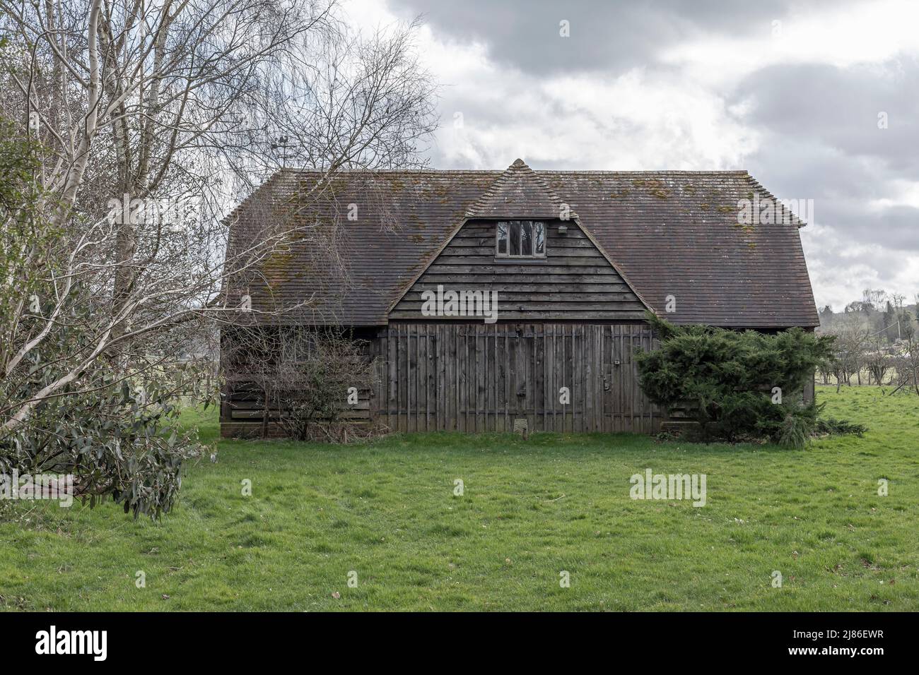 Looking across the green grass at an old black wooden barn building ...