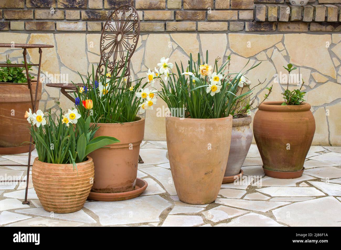 beautiful place in the garden in the mediterranean style, clay pots ...