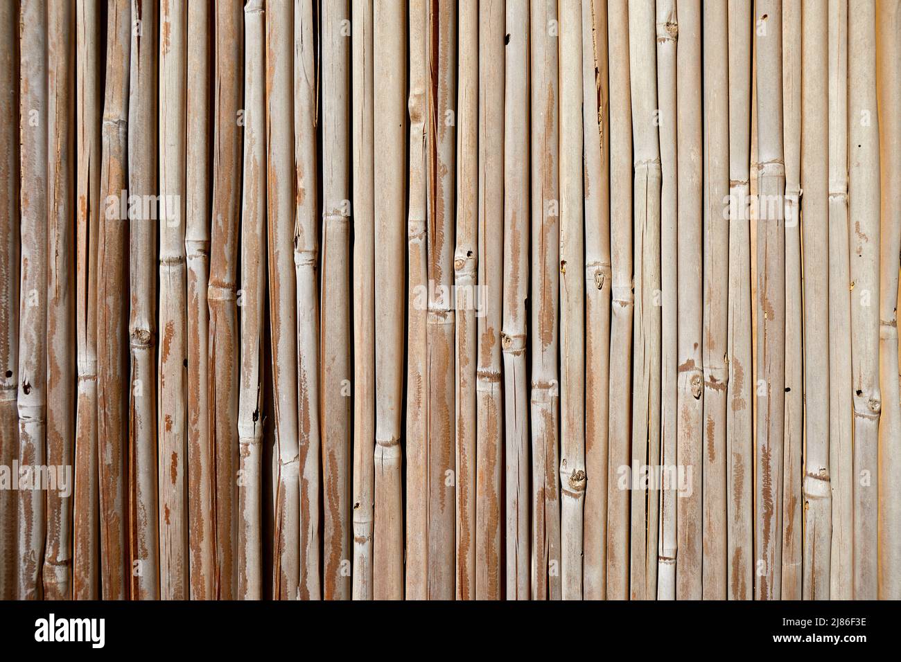 Bamboo wall, Japan Stock Photo - Alamy