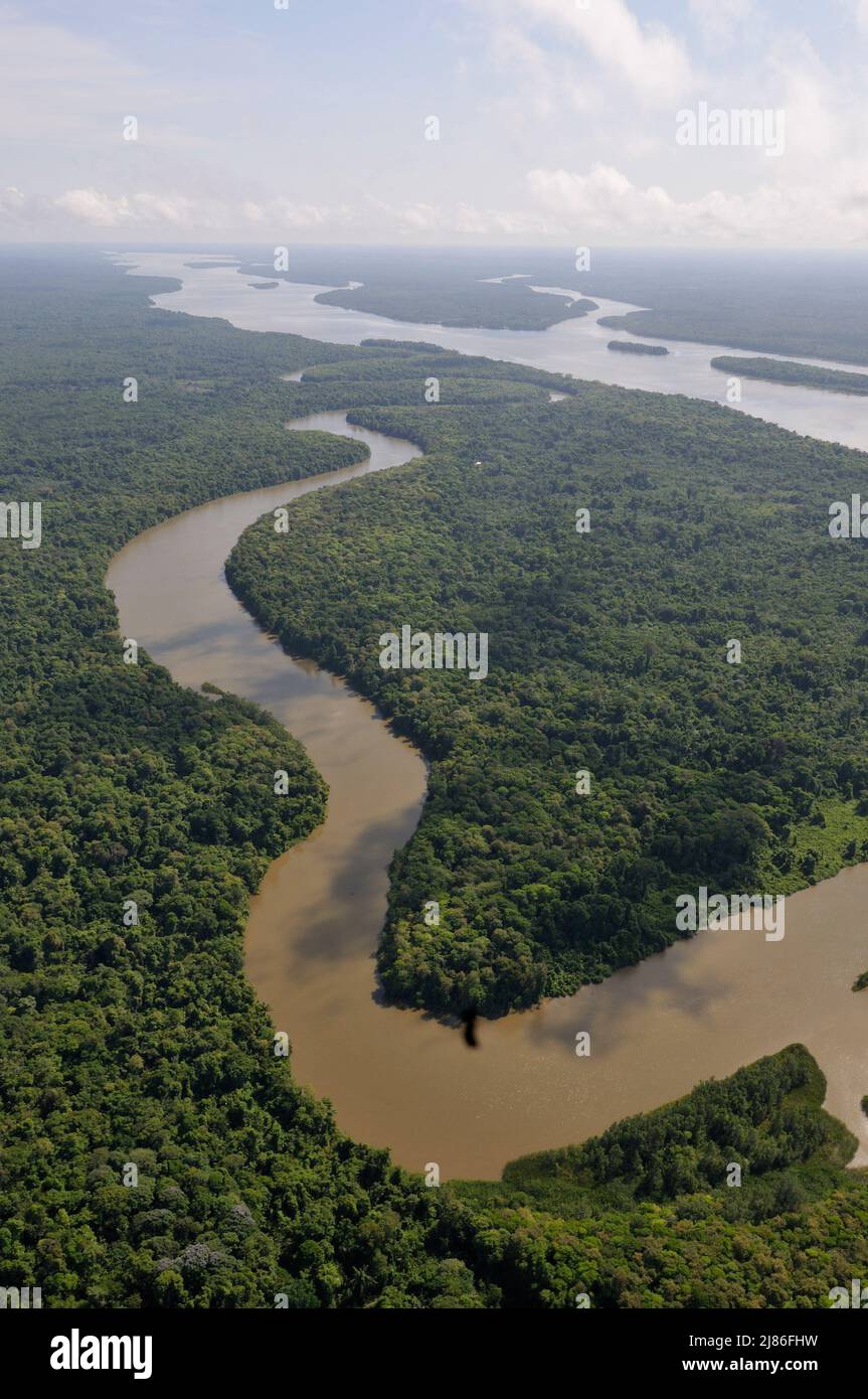 Aerial view of river in forest French Guiana Stock Photo - Alamy