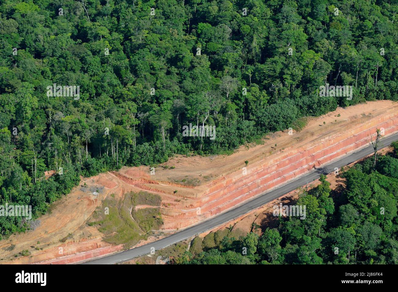 Road construction in primary forest Guyana Stock Photo - Alamy