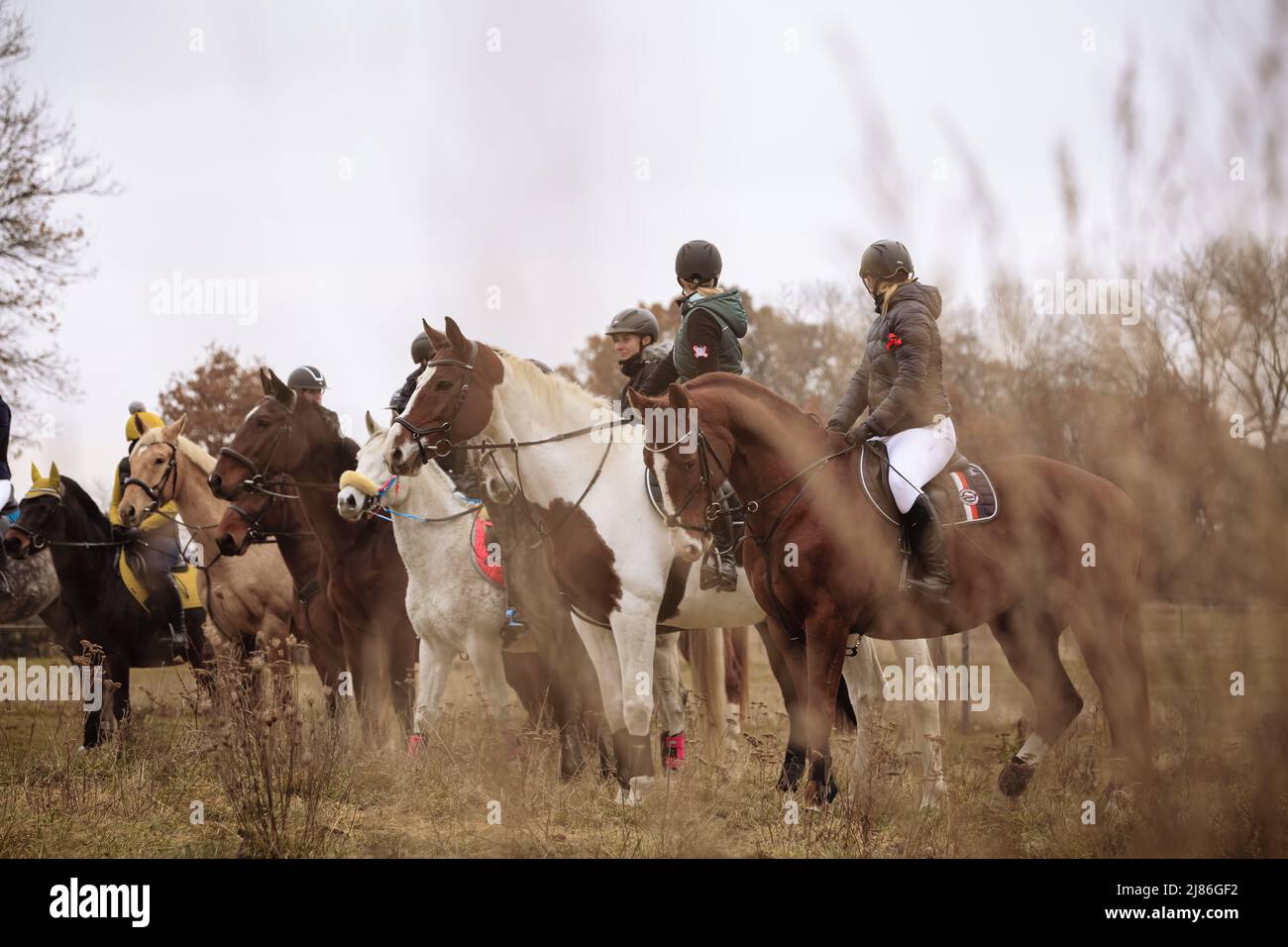 St. Hubertus ride in fall - hunt of fox Czech republic Stock Photo - Alamy