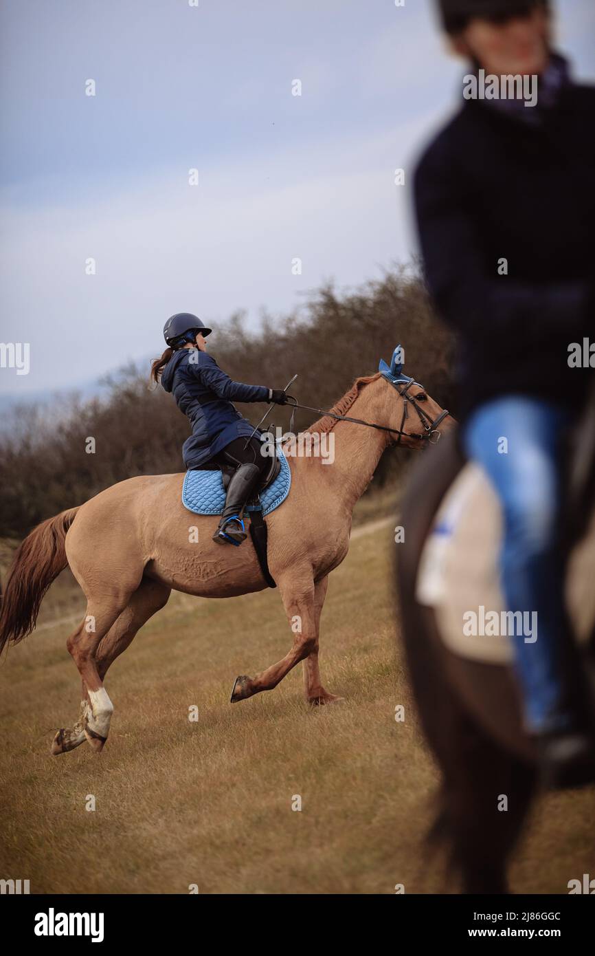 St. Hubertus ride in fall - hunt of fox Czech republic Stock Photo - Alamy