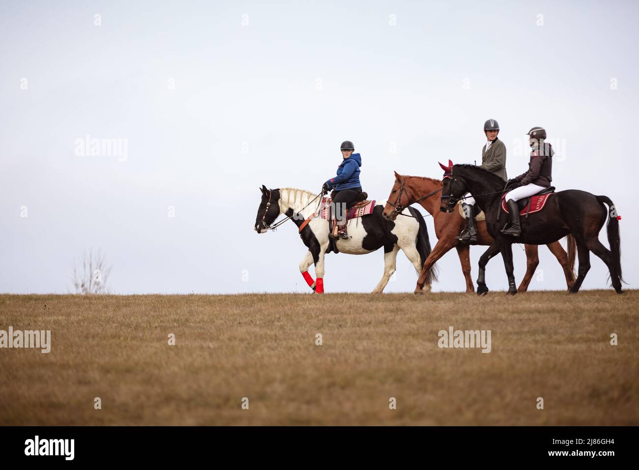 St. Hubertus ride in fall - hunt of fox Czech republic Stock Photo - Alamy