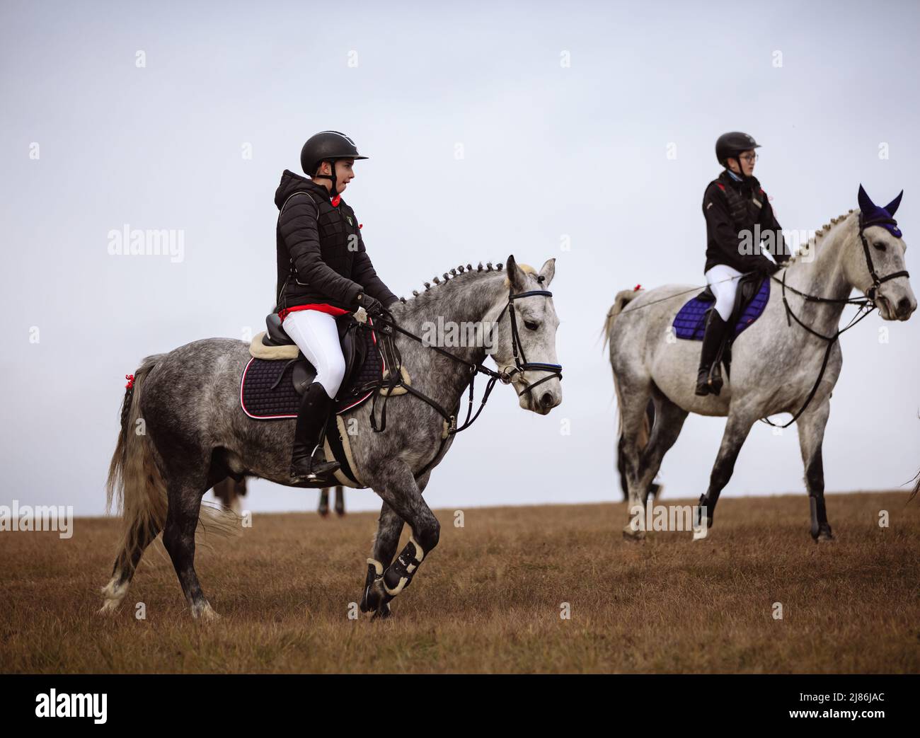 St. Hubertus ride in fall - hunt of fox Czech republic Stock Photo - Alamy