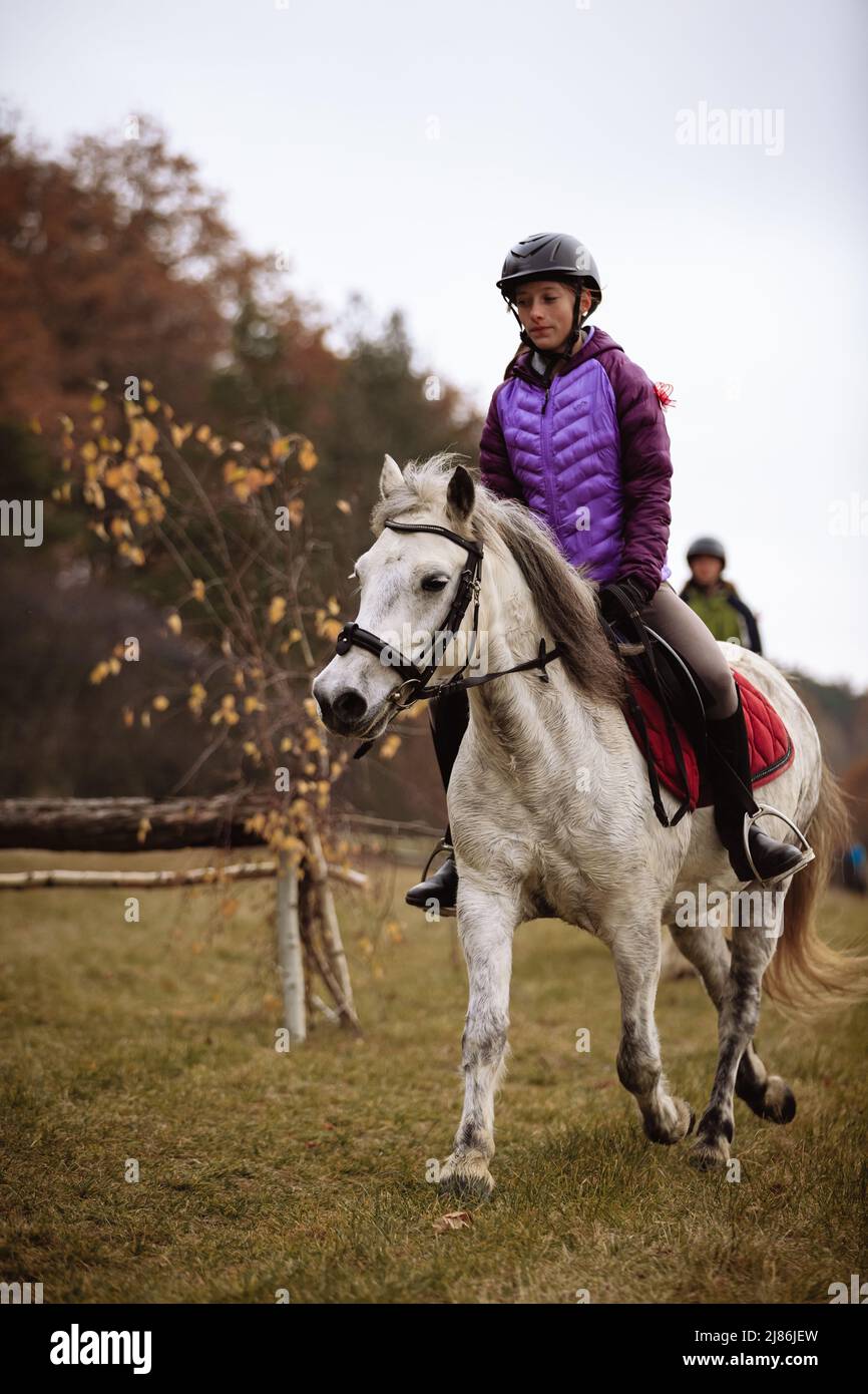 Fox hunt uniform hi-res stock photography and images - Alamy