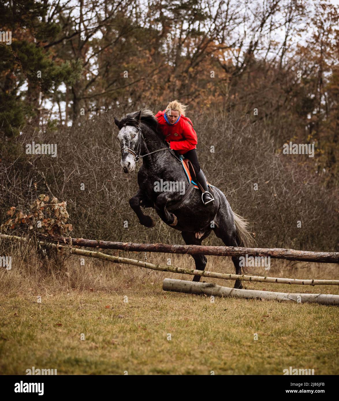 St. Hubertus ride in fall - hunt of fox Czech republic Stock Photo - Alamy