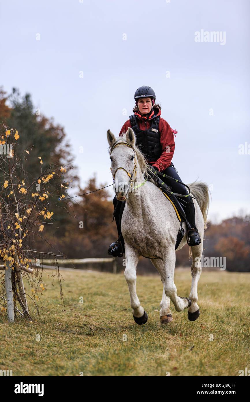 St. Hubertus ride in fall - hunt of fox Czech republic Stock Photo - Alamy
