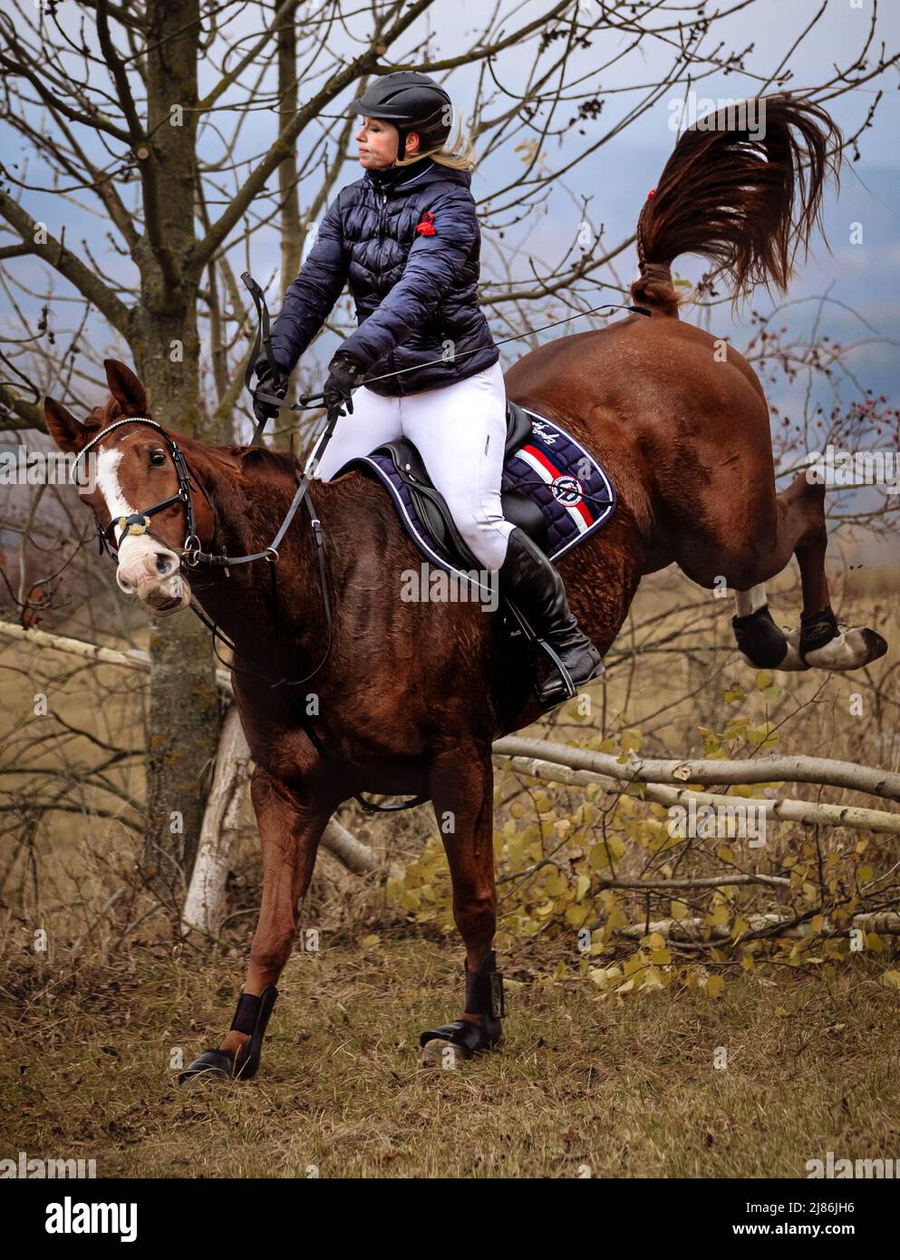 St. Hubertus ride in fall - hunt of fox Czech republic Stock Photo - Alamy