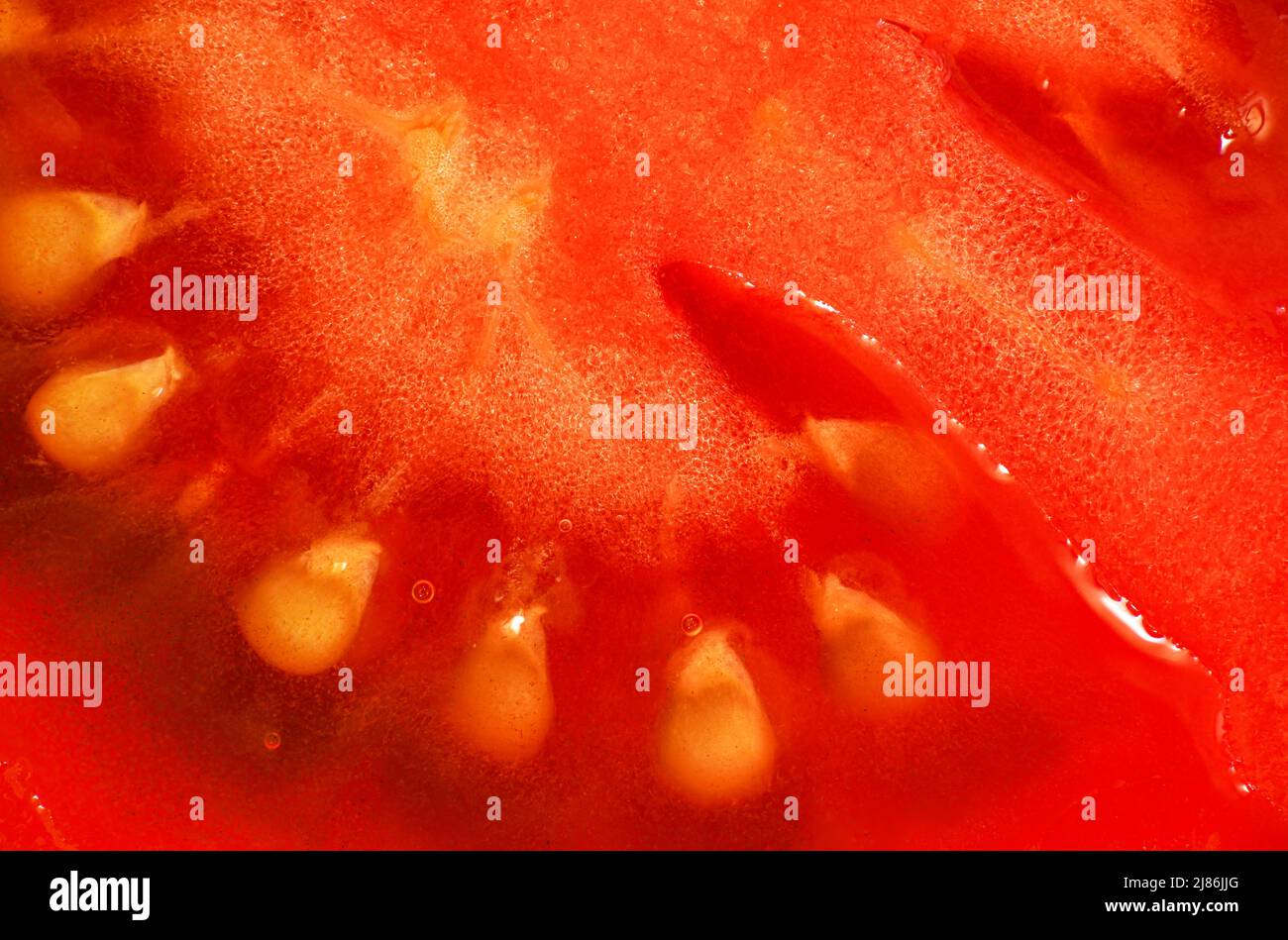 Tomato Pulp Description at Sarah Nimmo blog