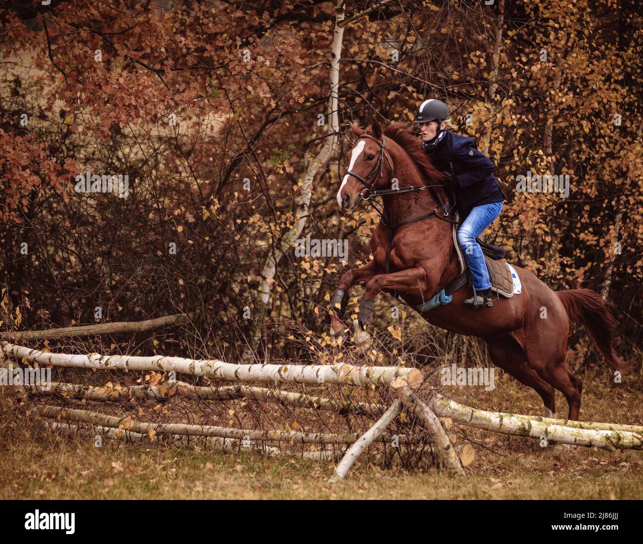 St. Hubertus ride in fall - hunt of fox Czech republic Stock Photo - Alamy