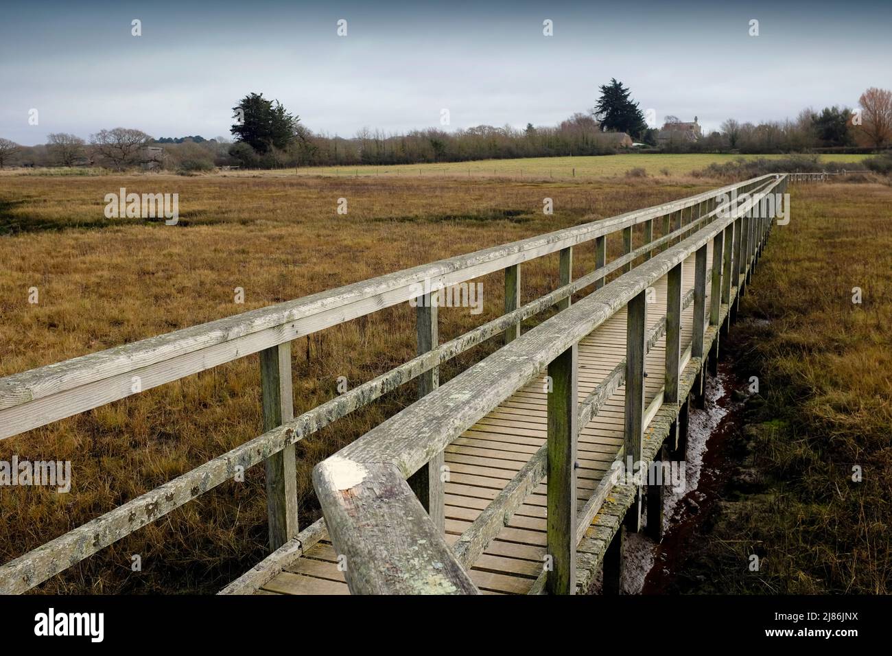 walk,way,wooden,Newtown,Nature,Reserve,Isle of Wight,England,Britain ...
