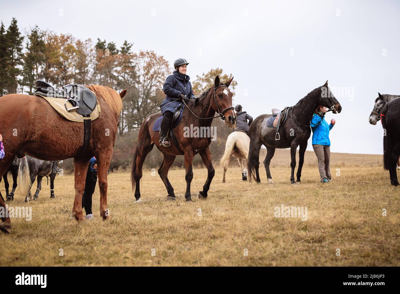 St. Hubertus ride in fall - hunt of fox Czech republic Stock Photo - Alamy