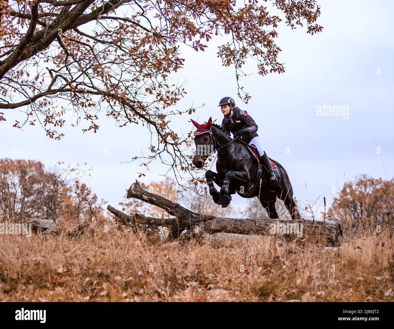 St. Hubertus ride in fall - hunt of fox Czech republic Stock Photo - Alamy