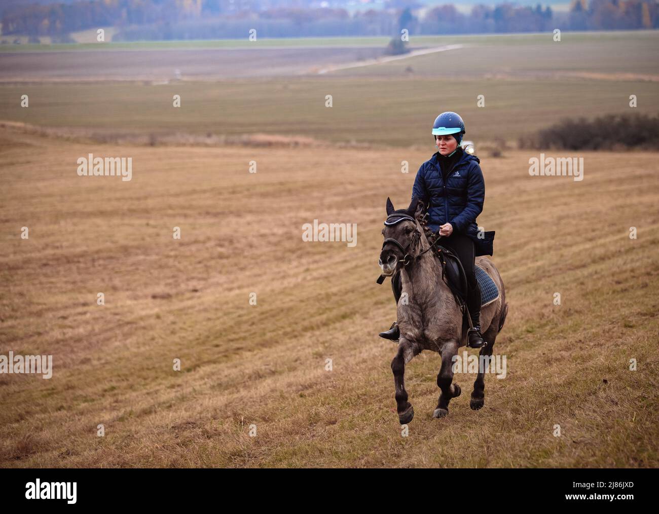 St. Hubertus ride in fall - hunt of fox Czech republic Stock Photo - Alamy