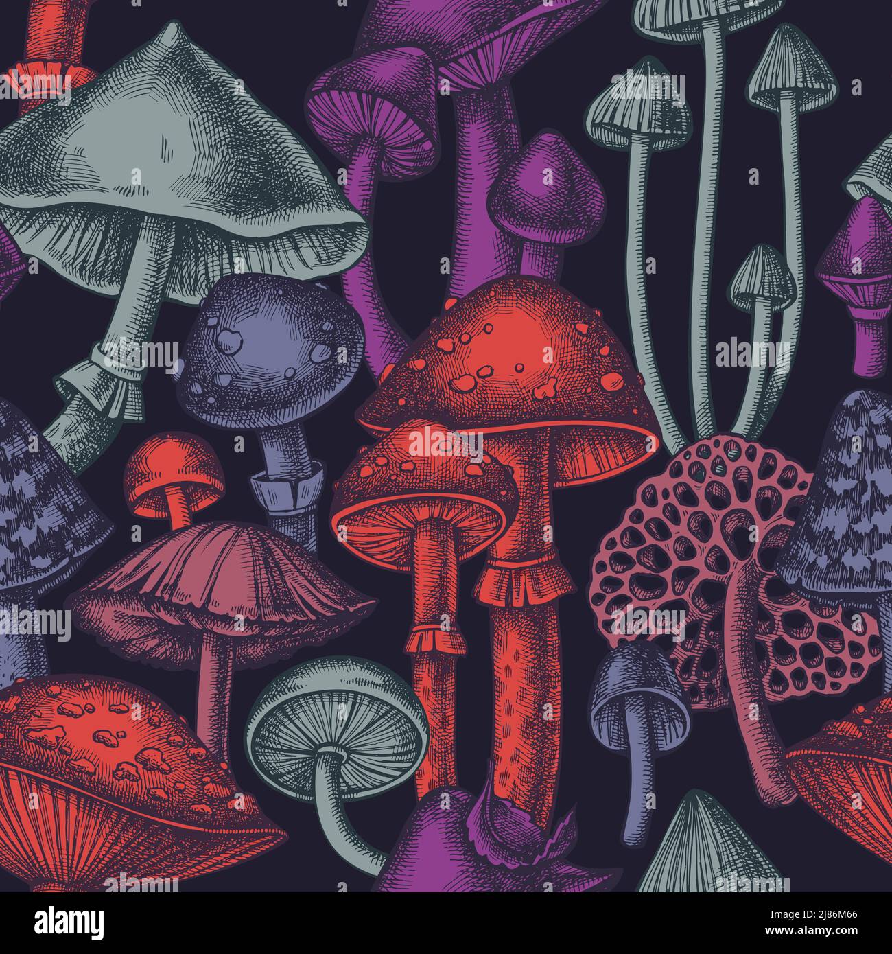 Forest mushrooms seamless pattern background design. Engraved style ... Forest mushrooms seamless pattern background design. Engraved style ...