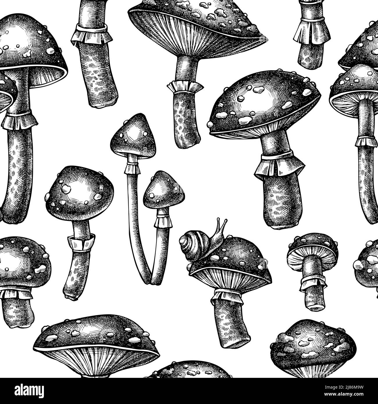 Forest mushrooms seamless pattern background design. Engraved style ...