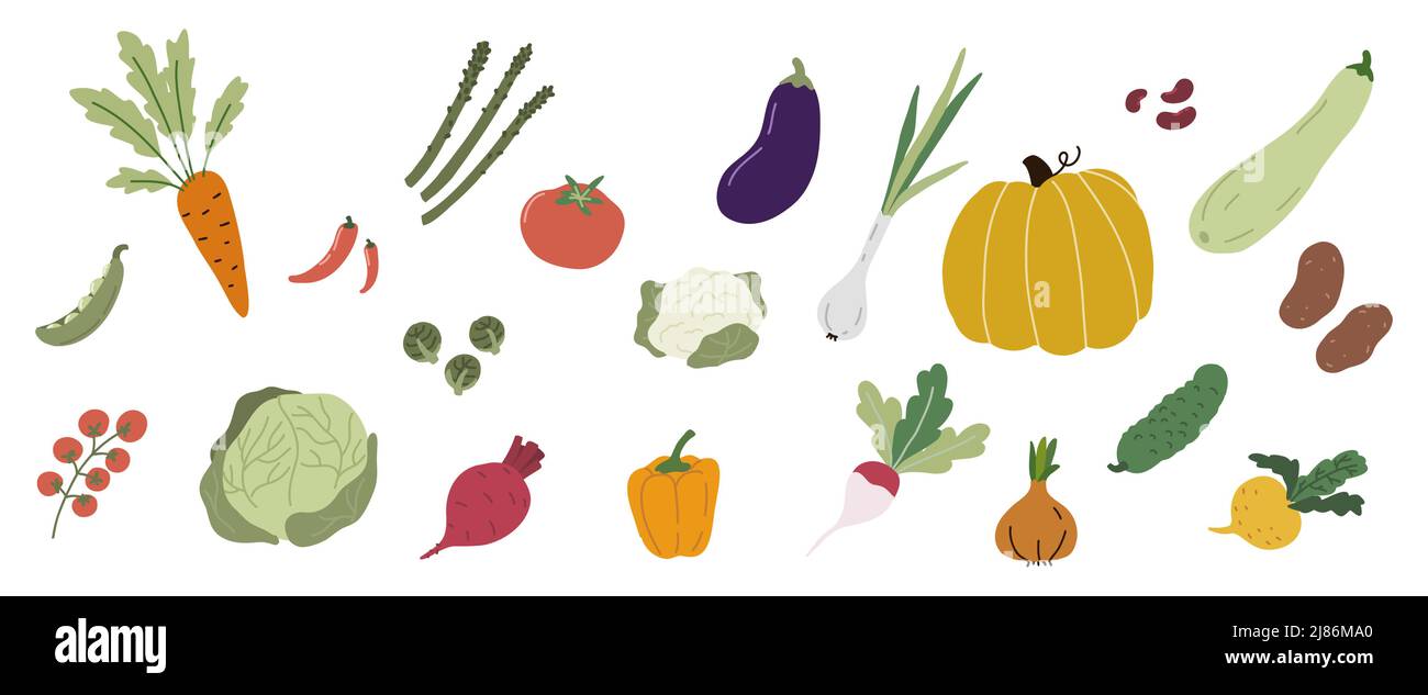 Various vegetables. Organic healphy food. Vector cartoon crops ...