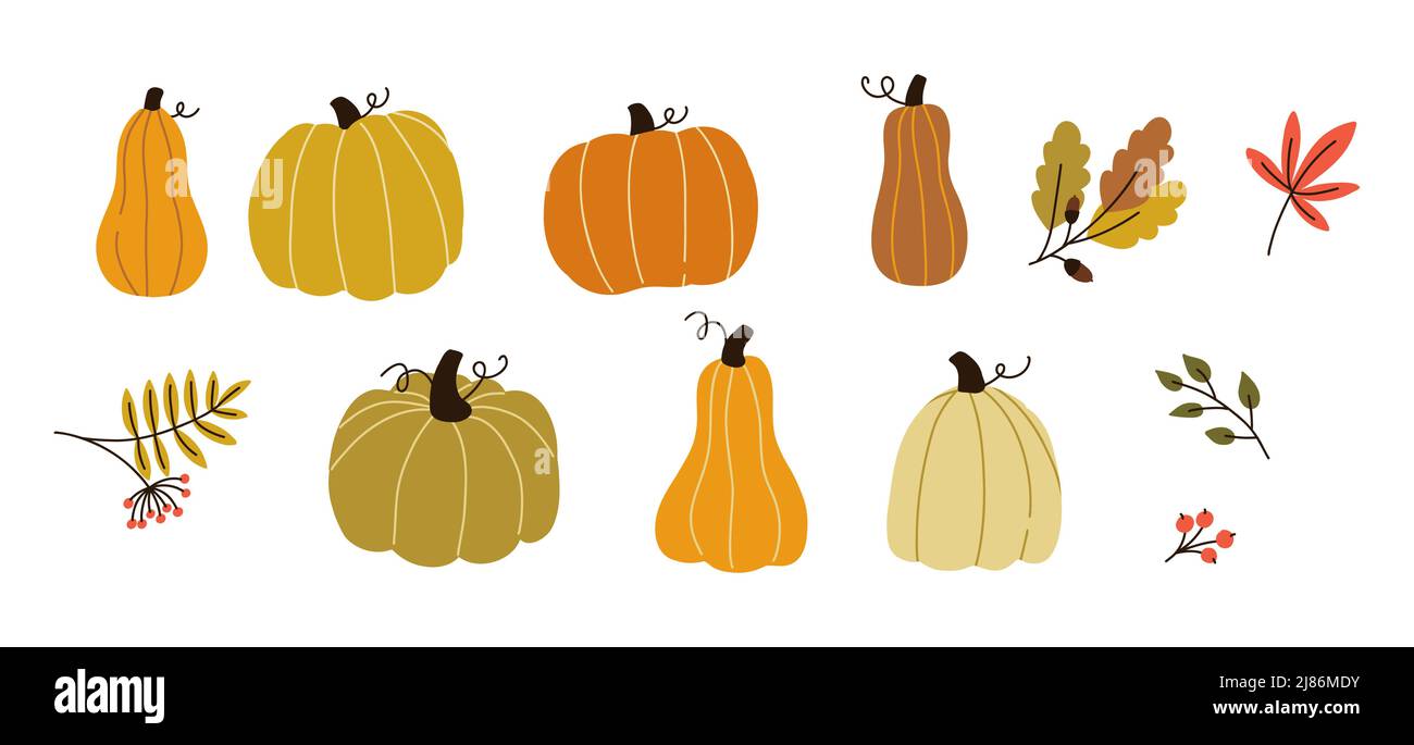 Autumn harvest. Pumpkins and falling leaves. Cozy bundle. Vector flat ...