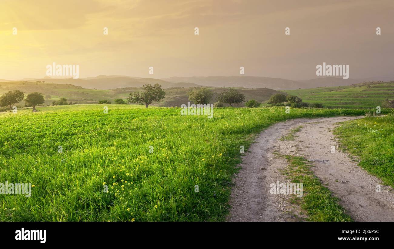 Idyllic sunset landscape with green grass and countryside road ...