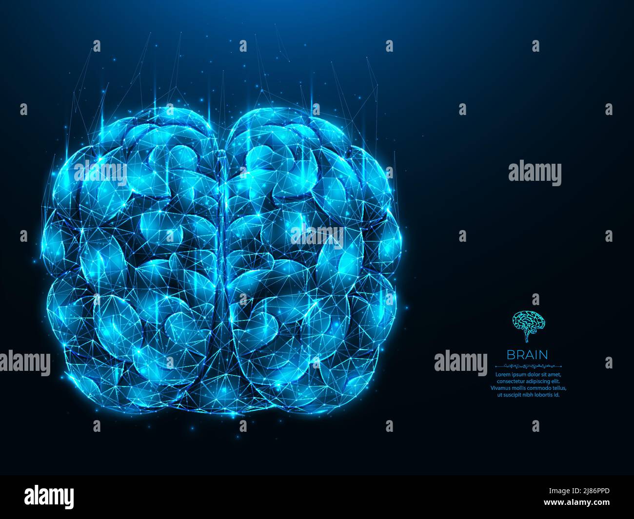 Polygonal vector illustration of a human brain on a dark blue ...