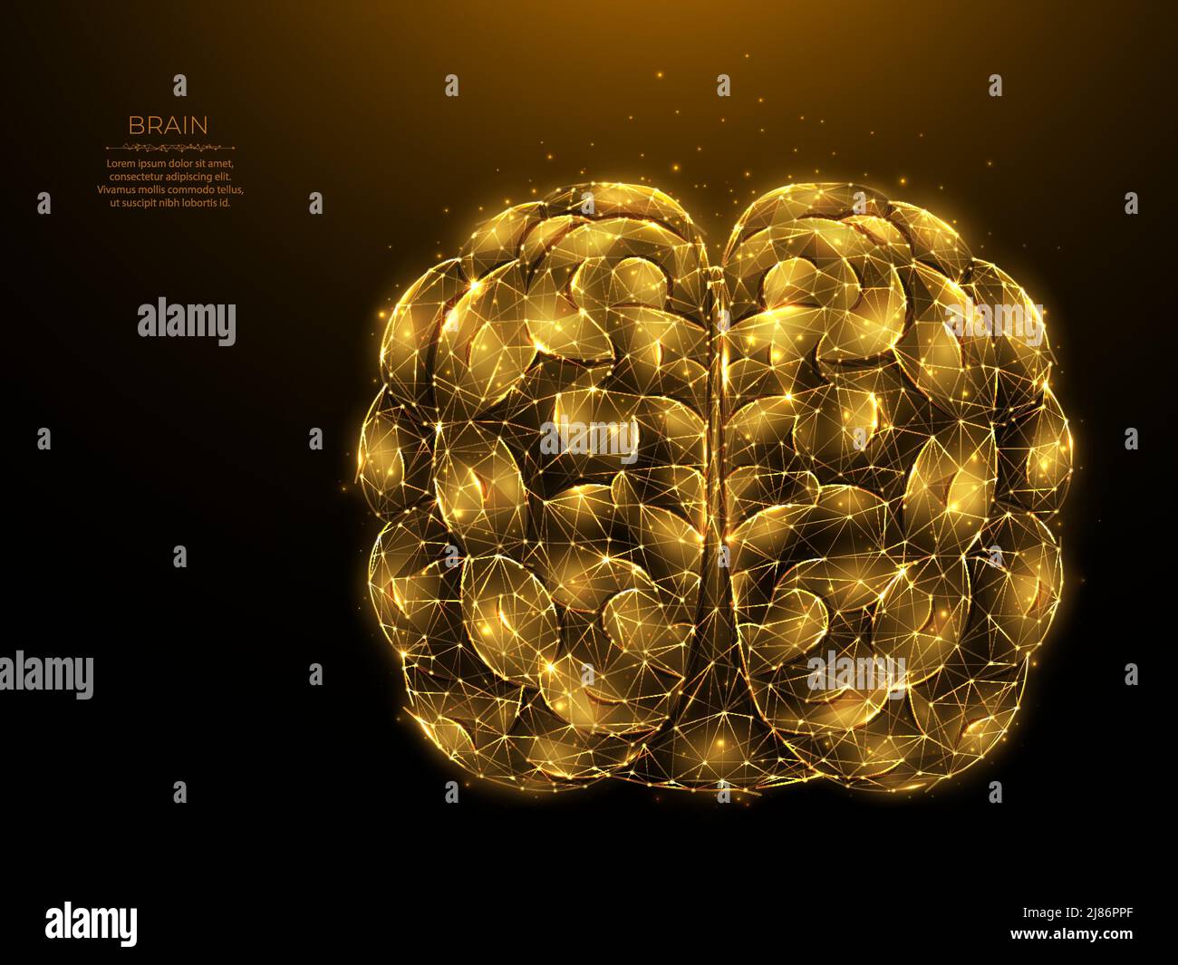 Polygonal vector illustration of a human brain on a dark background ...