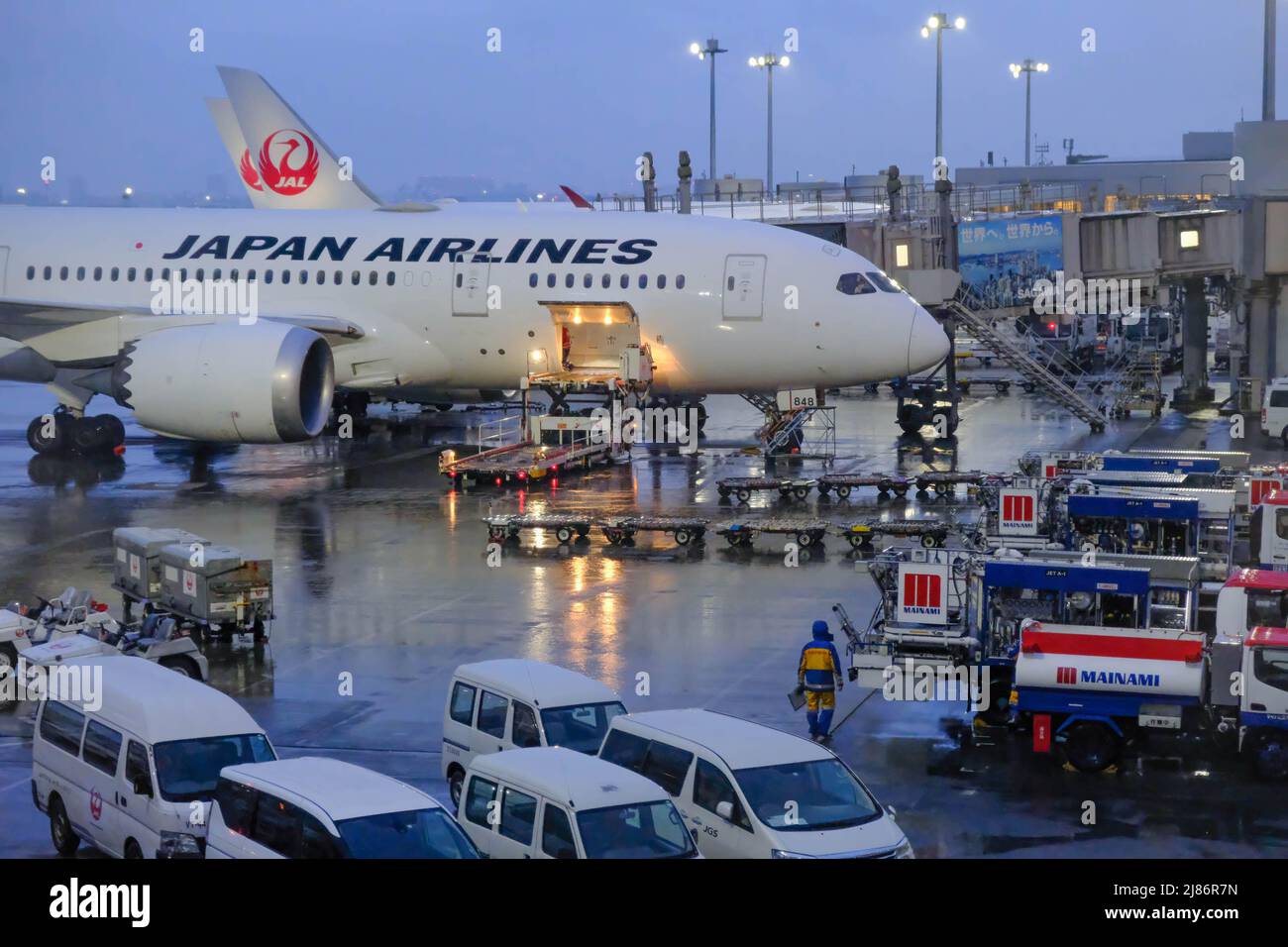 A Japan Airlines (JAL) airplanes seen at the Tokyo International ...