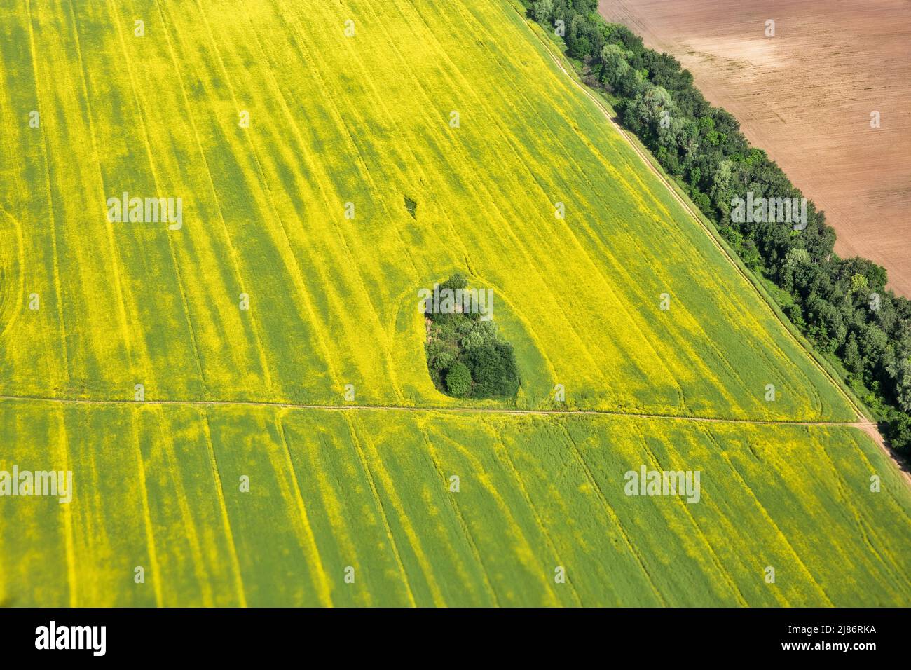 Aerial view agricultural field trees hi-res stock photography and ...