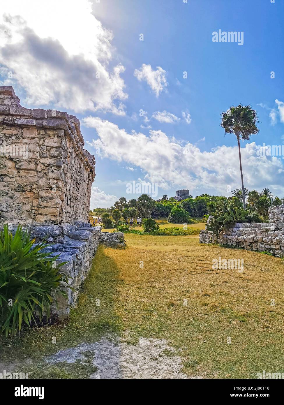 Ancient Tulum ruins Mayan site with temple ruins pyramids and artifacts ...
