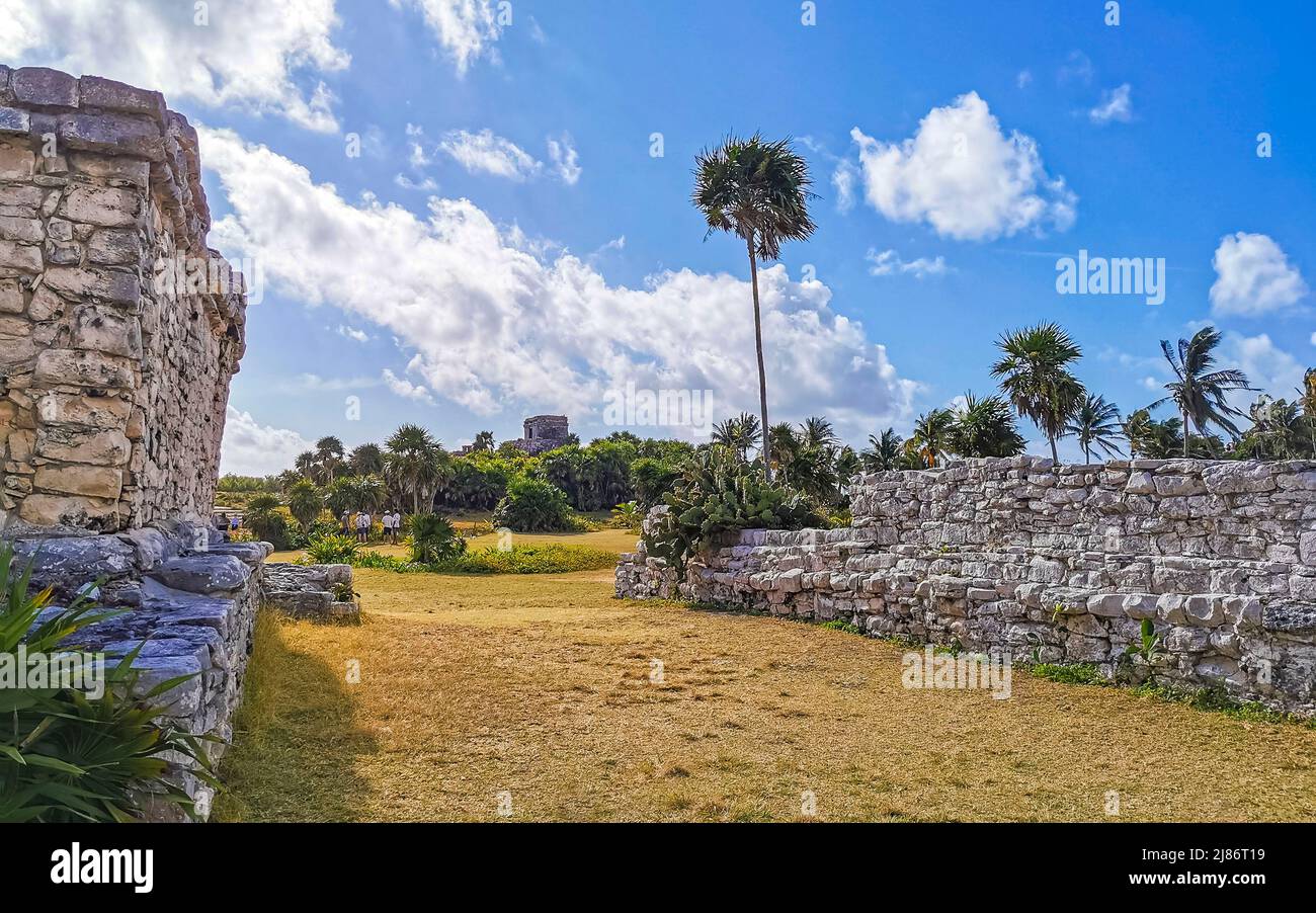 Ancient Tulum ruins Mayan site with temple ruins pyramids and artifacts ...