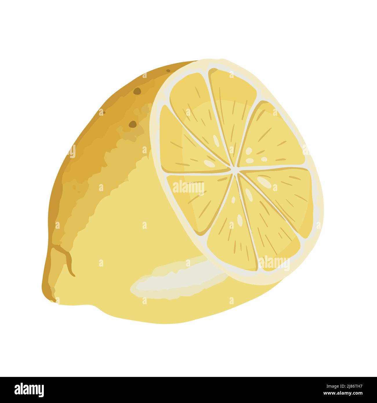 Sliced Fresh Yellow Lemon. Vector Fruit Illustration Cut out Stock ...