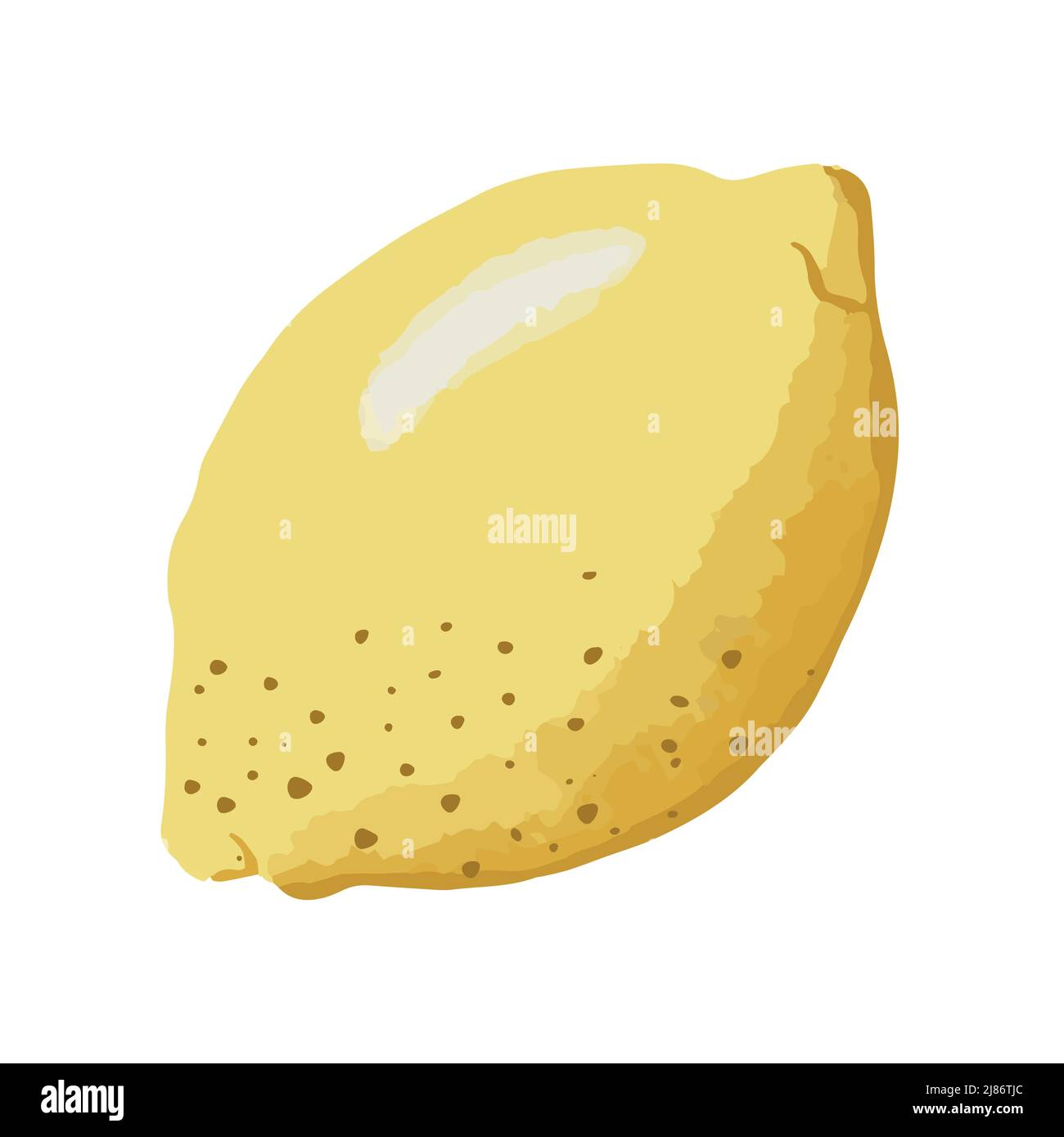 Whole ripe orange fruit Stock Vector Images - Alamy