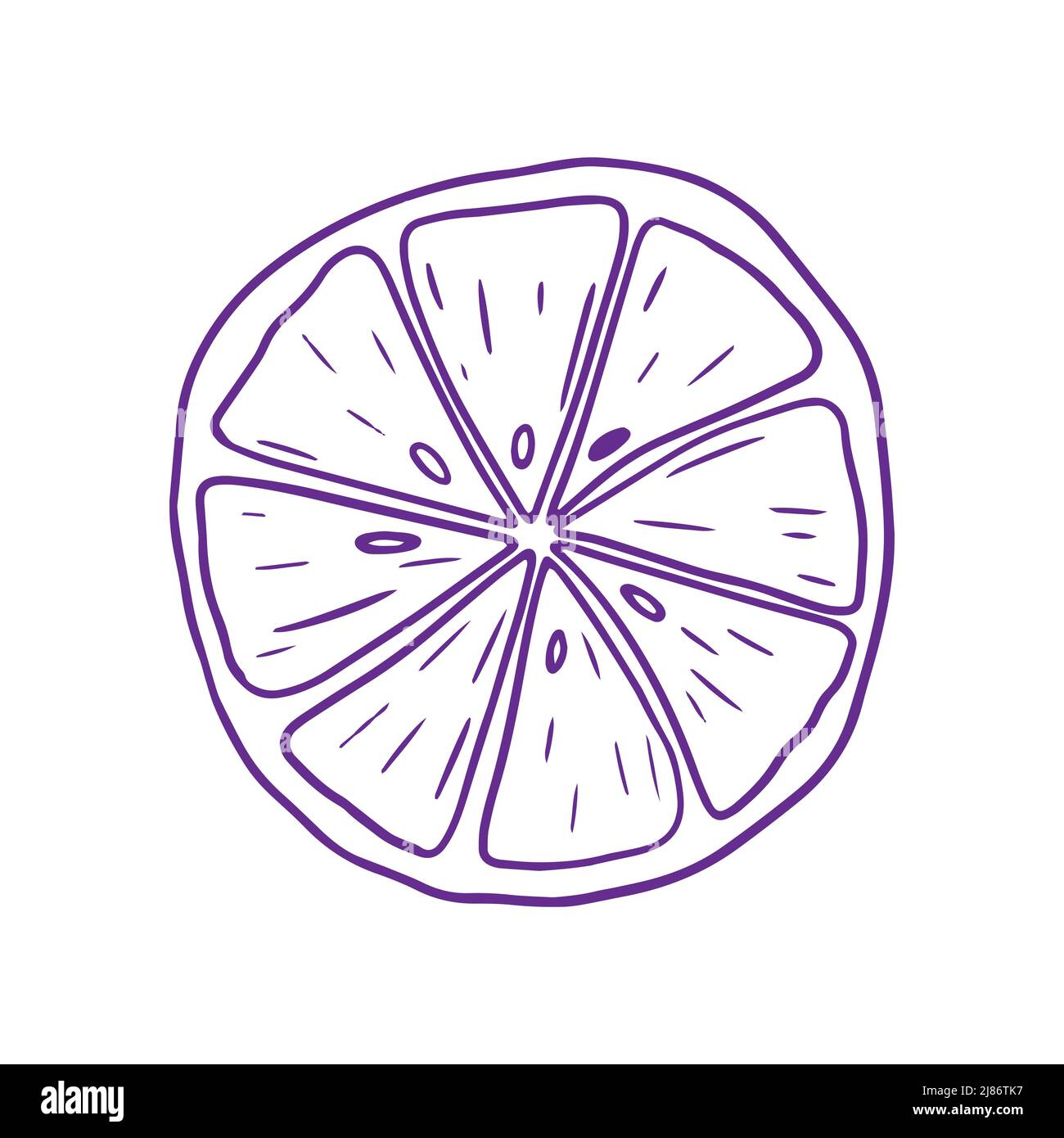 Slice of Lemon outline illustration. Pen Drawing immitation Stock ...