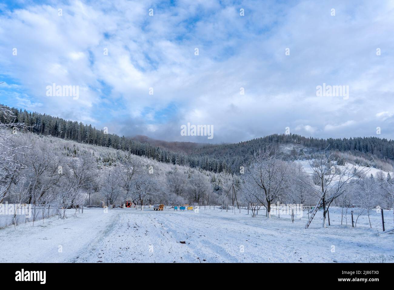 Beautiful winter landscape. Beehives in the snow in the background ...