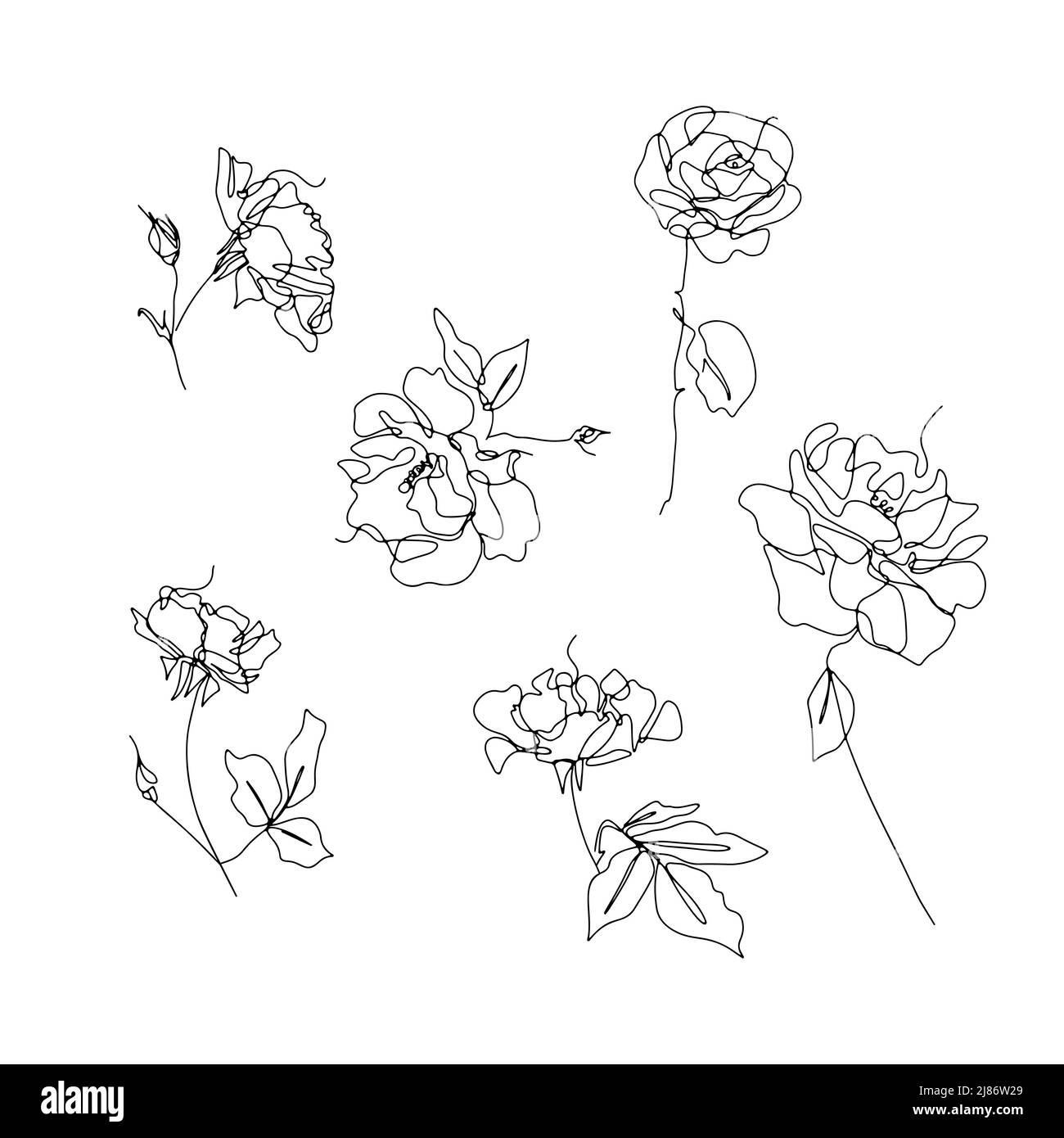 Set one rose flower Stock Vector Images - Alamy