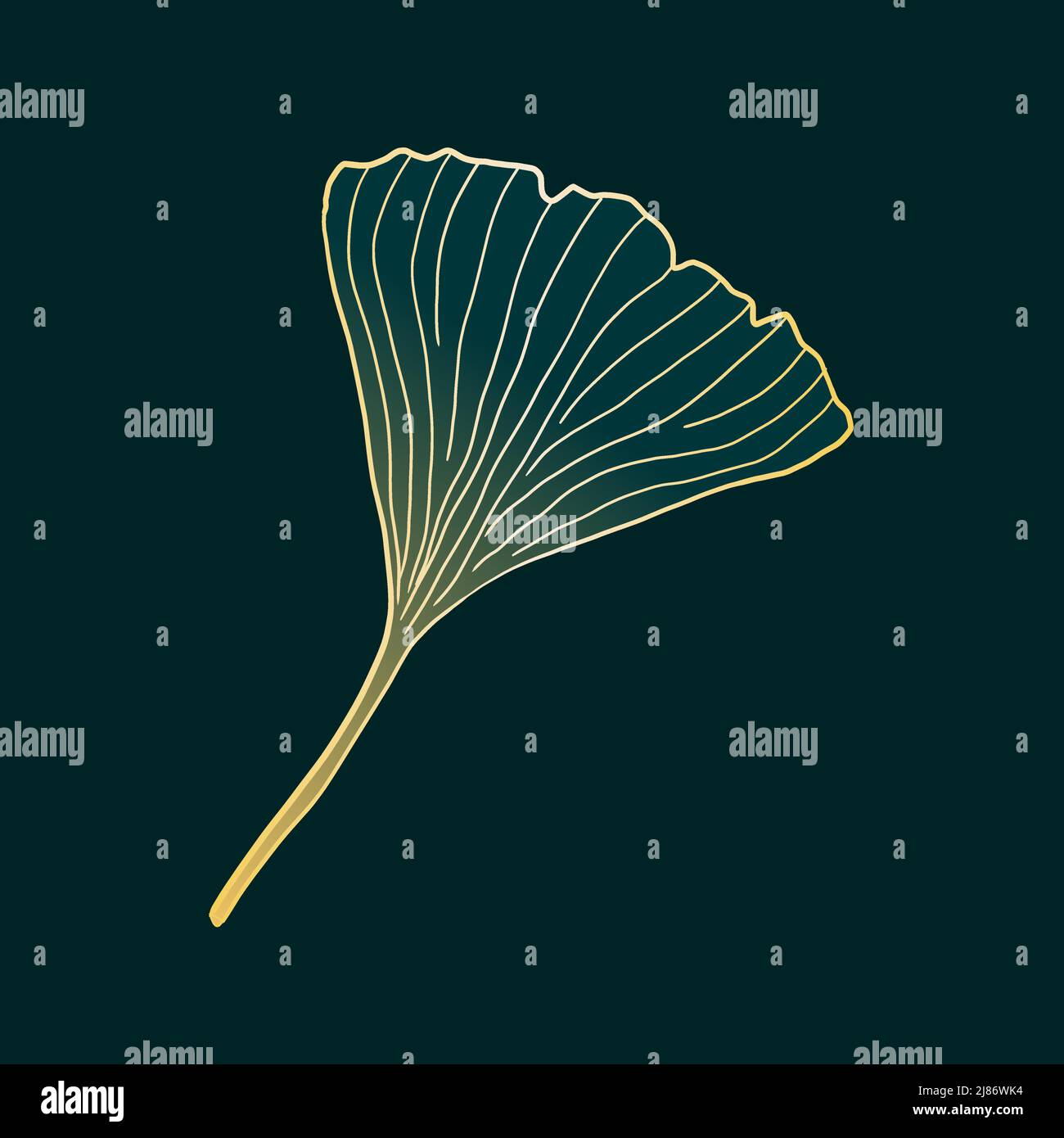 Ginkgo leaf gold edge trendy sketch. Isolated ginkgo biloba leaf vector ...