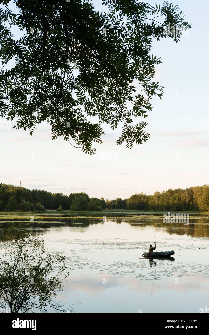 Nature of Belarus, calm serene summer landscape on the lake Stock Photo ...
