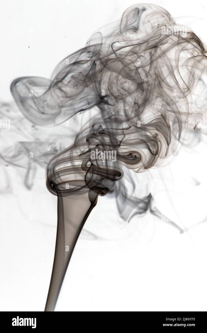 Puffs and curls of dark smoke on a white background rising from a ...