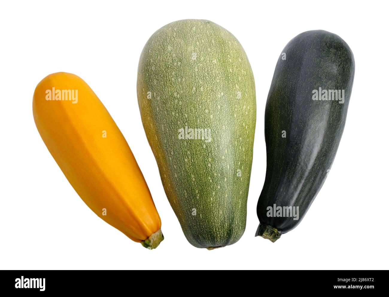 Delicious healthy vegetable, three zucchini of different colors ...